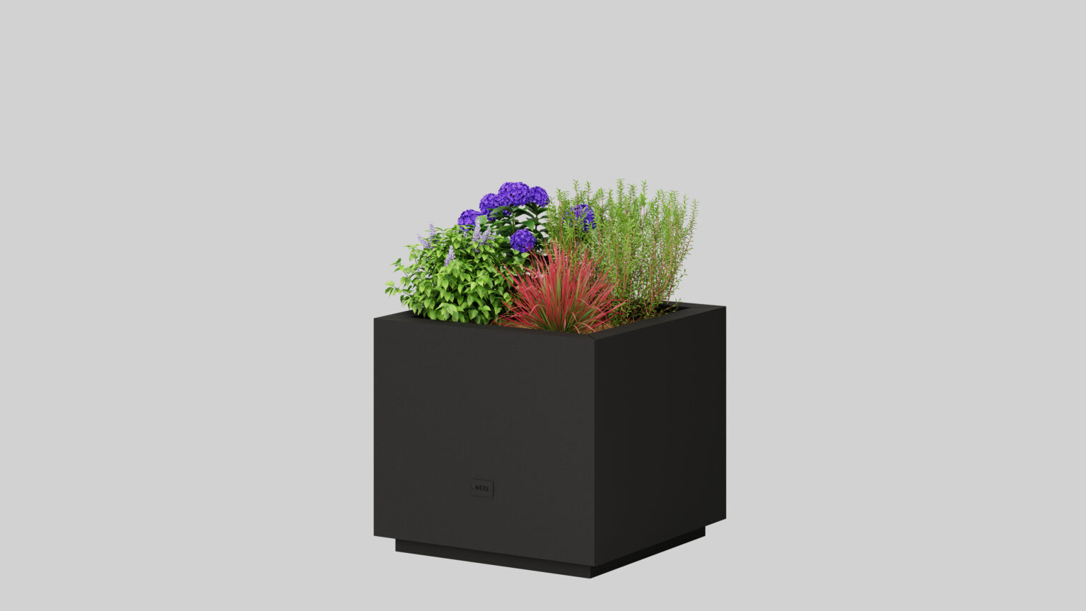 Pictor System – Neri SpA